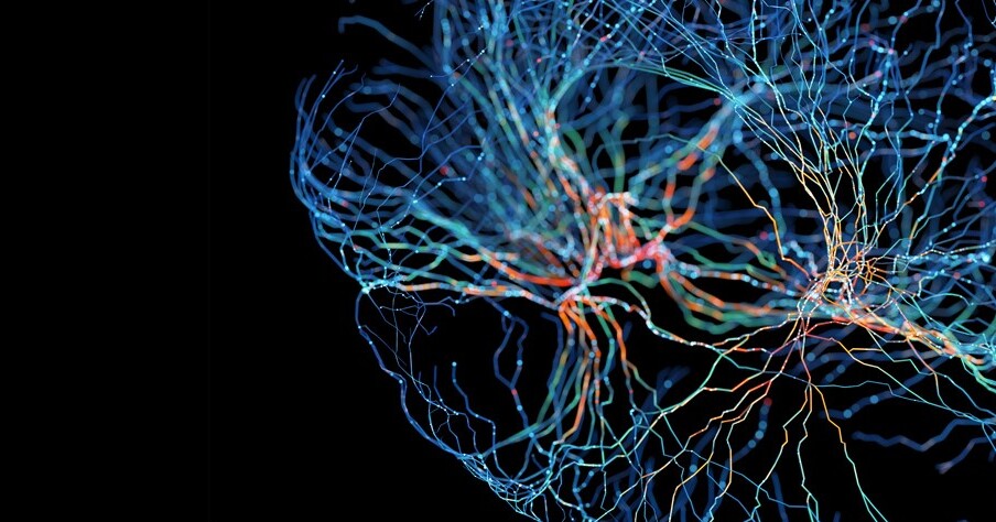 Life Sciences Industry Experts | Secretariat