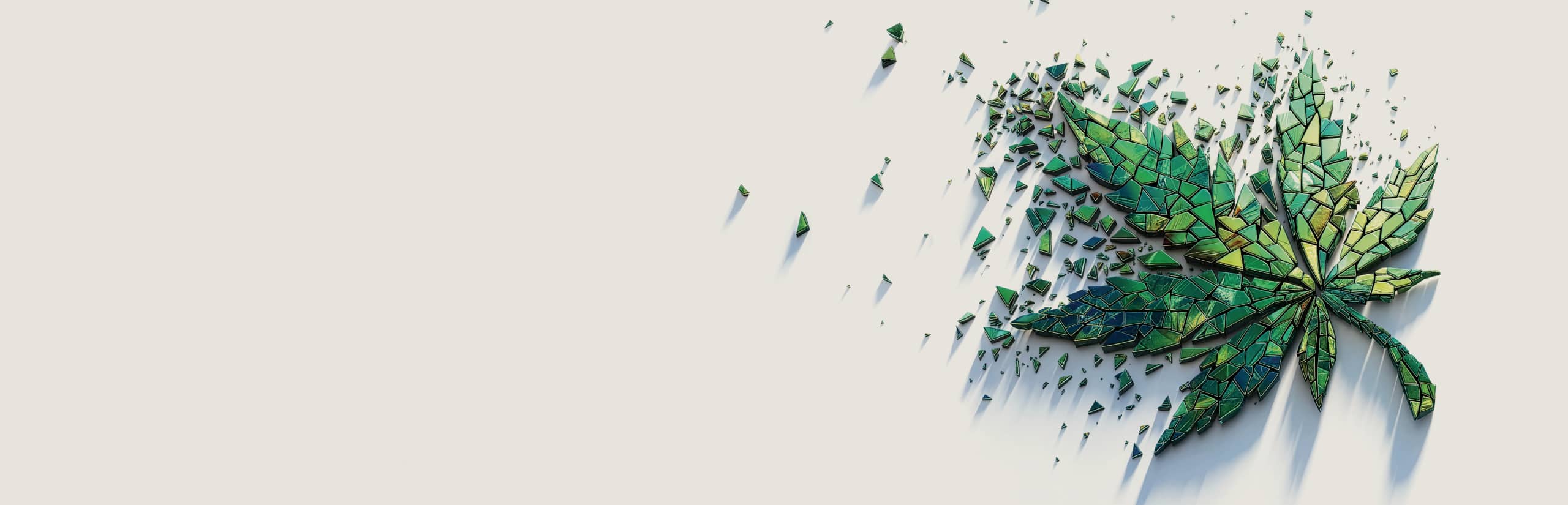 Competition and Market Structure of the U.S. Cannabis Industry ...